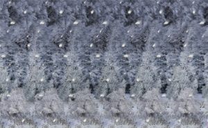 Stereo Sue – Gaining 3D vision in midlife.